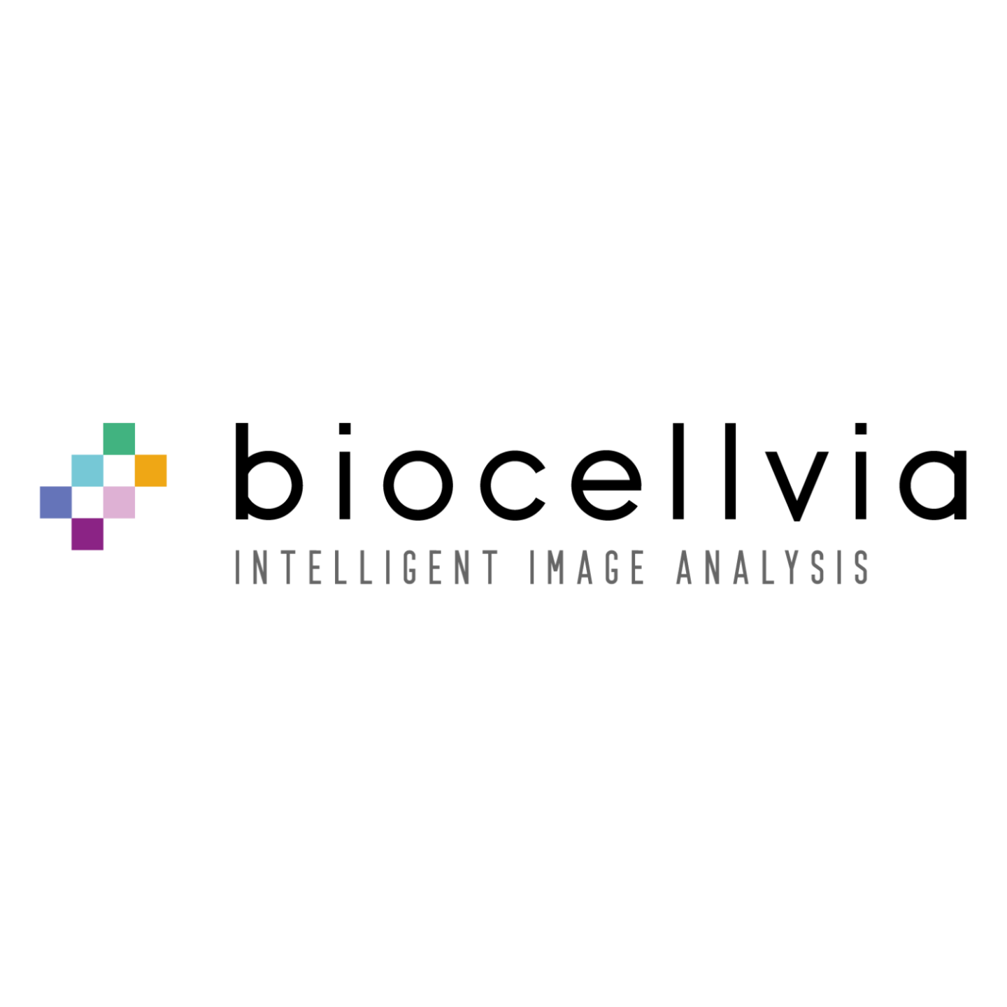 Extend your reach using a go-to-market strategy - Aexus